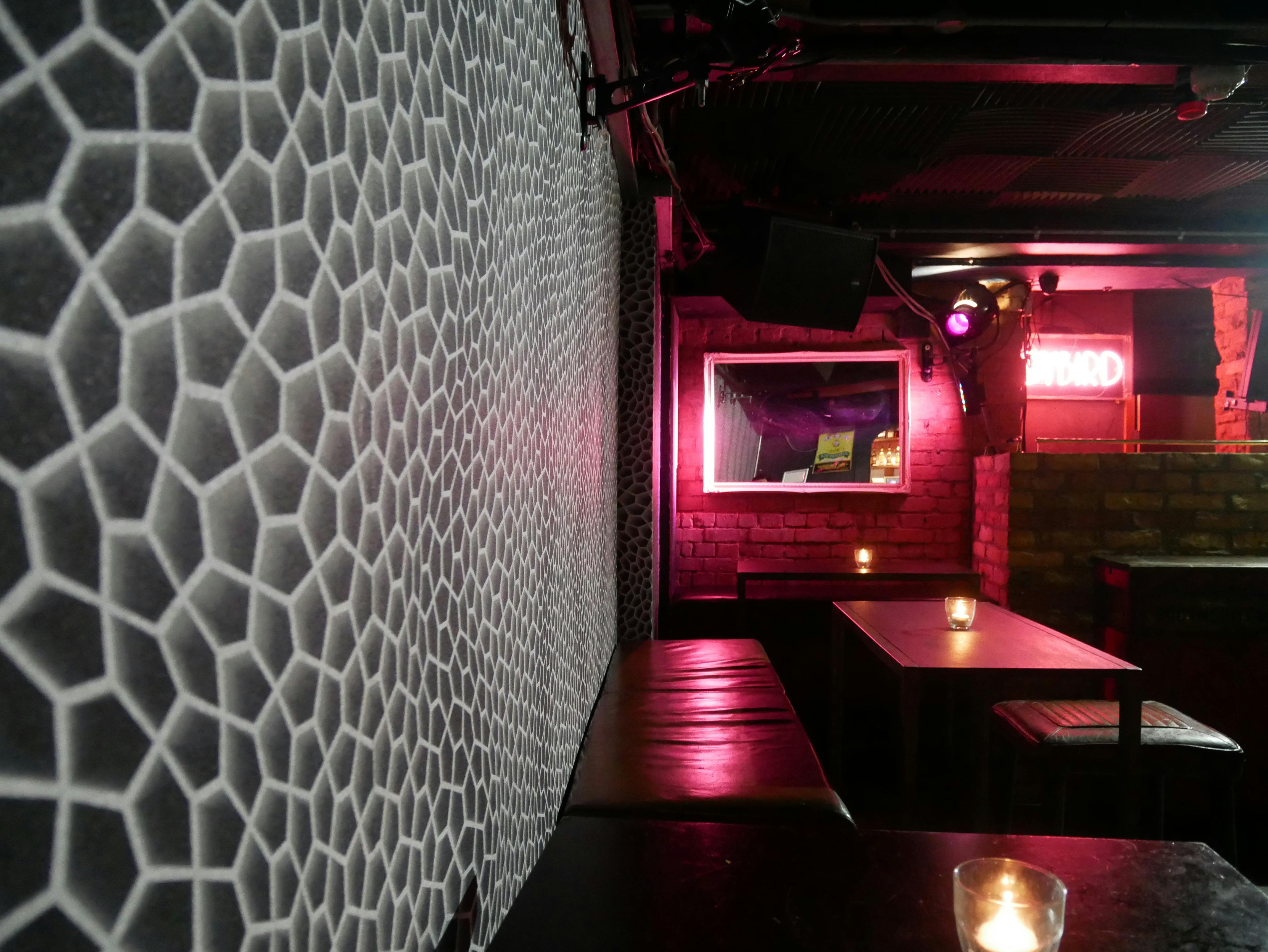 The BSMT | Film and Photo | The Ladybird Bar