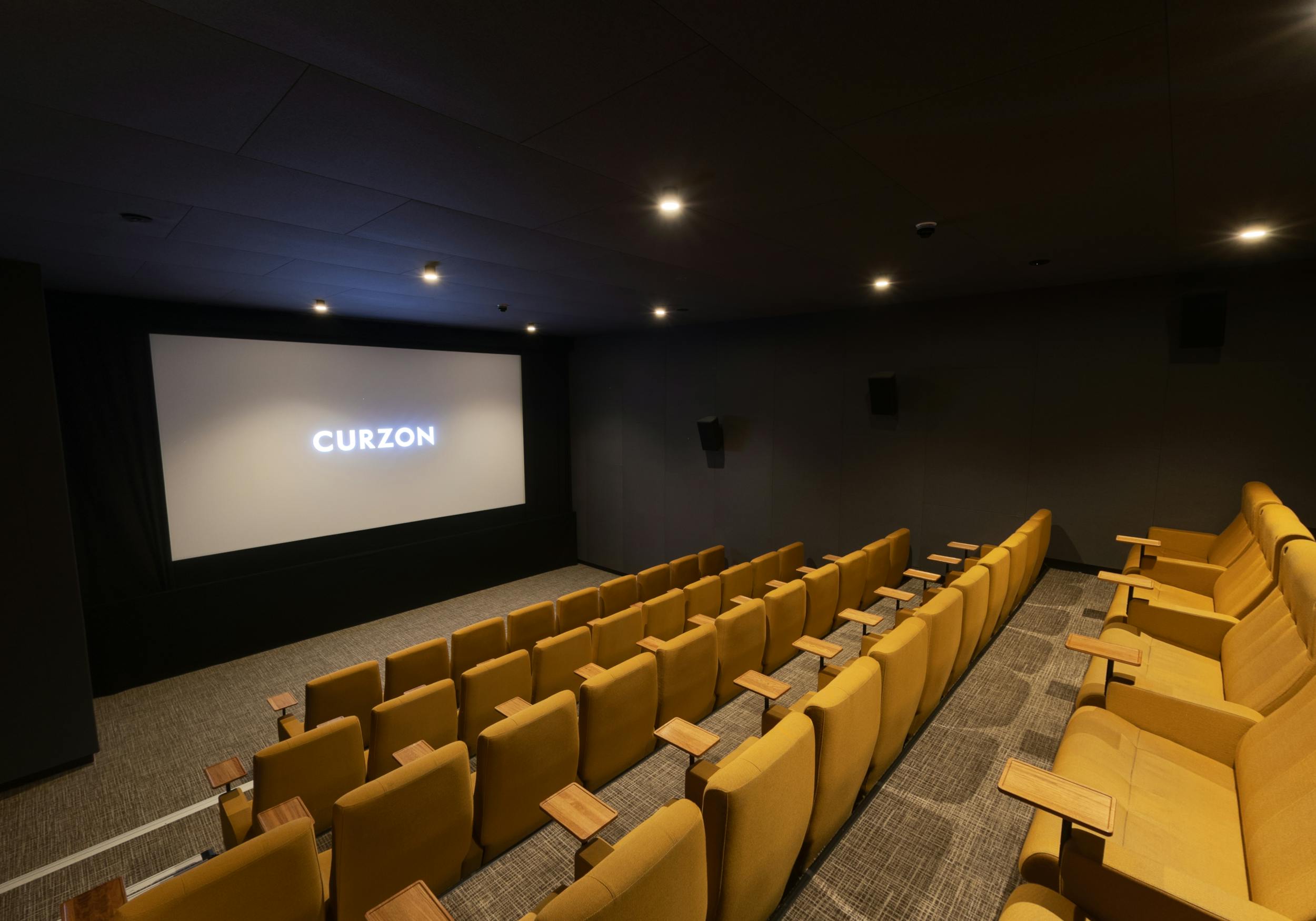 Curzon Aldgate - Cinema Screen 4 | Screenings | Curzon Aldgate