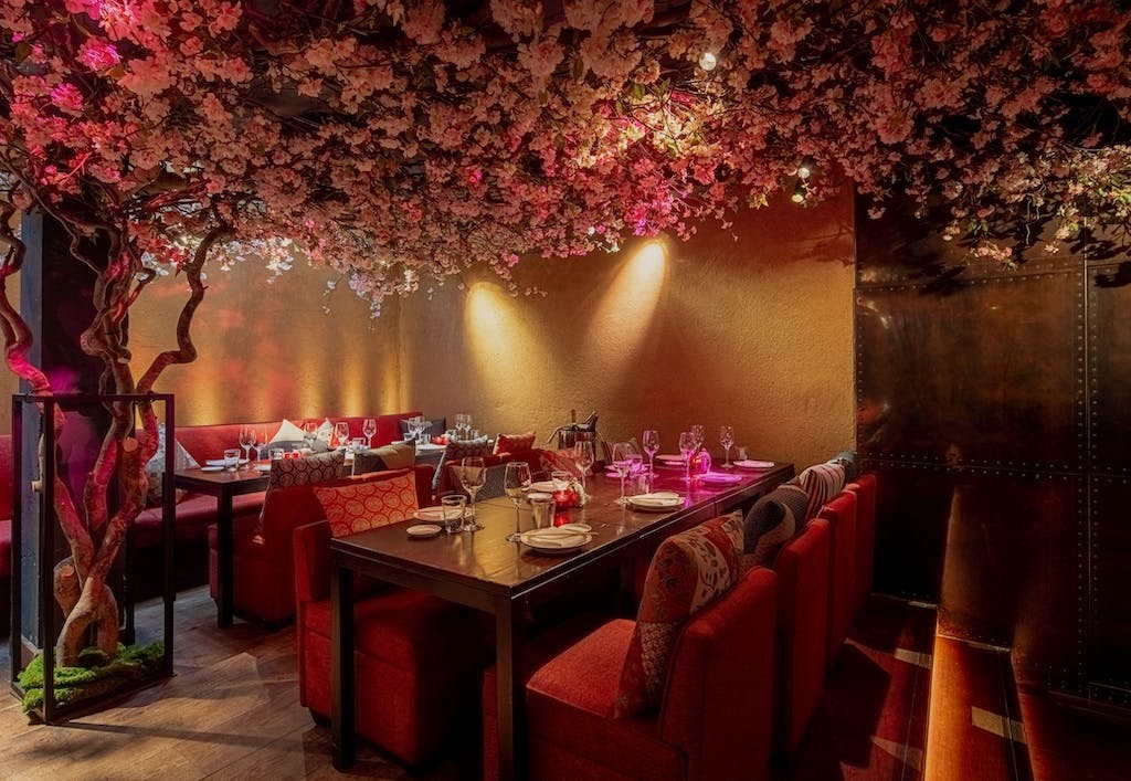 Shochu Lounge | Dining | ROKA Charlotte Street | Hire Space