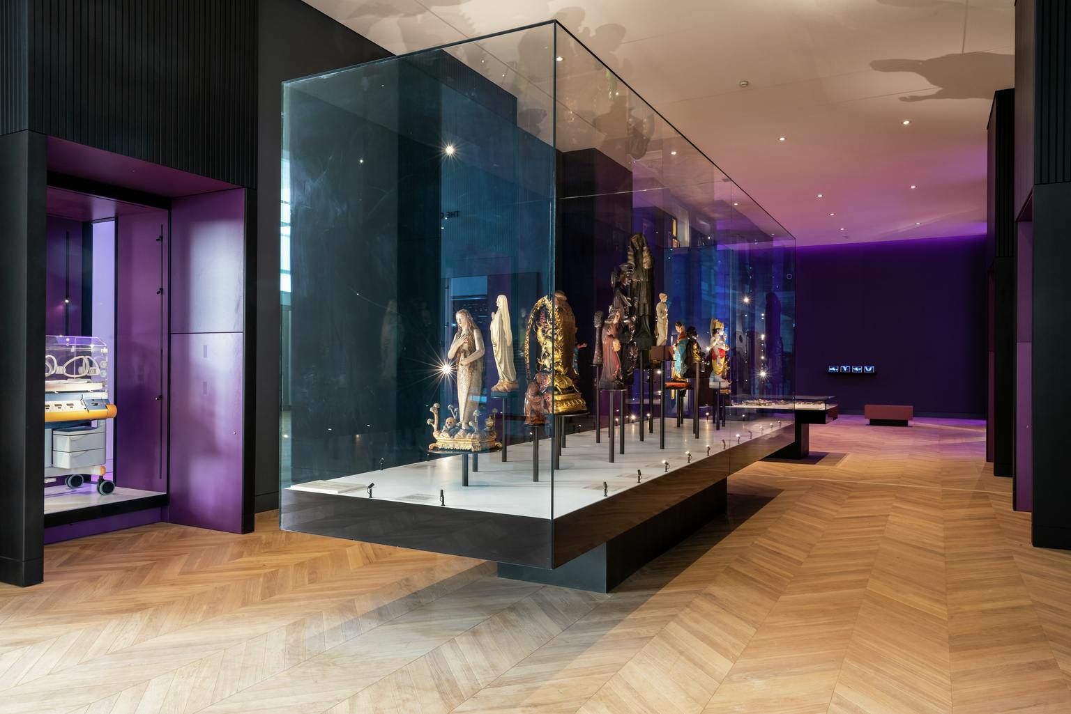 Medicine: The Wellcome Galleries | Events | The Science Museum