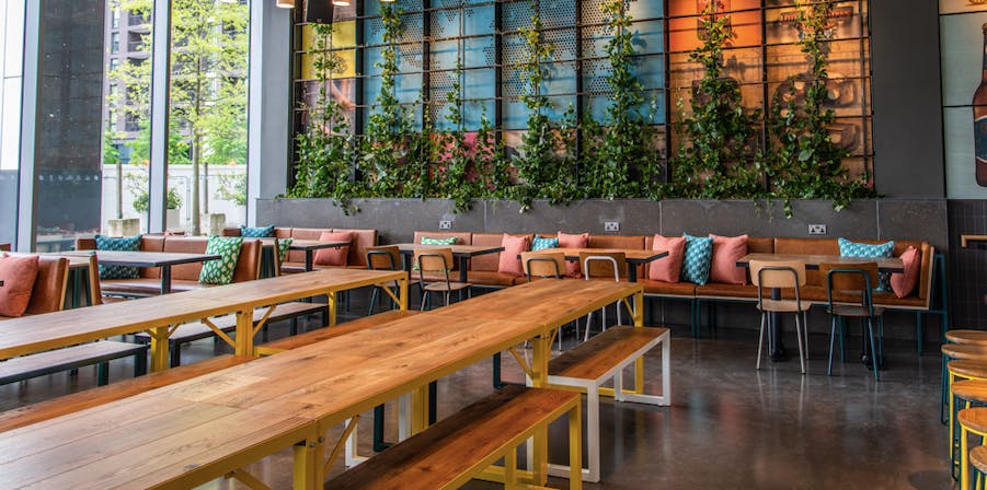 Elevated Level | Dining | Babel Beerhouse | All the best venues