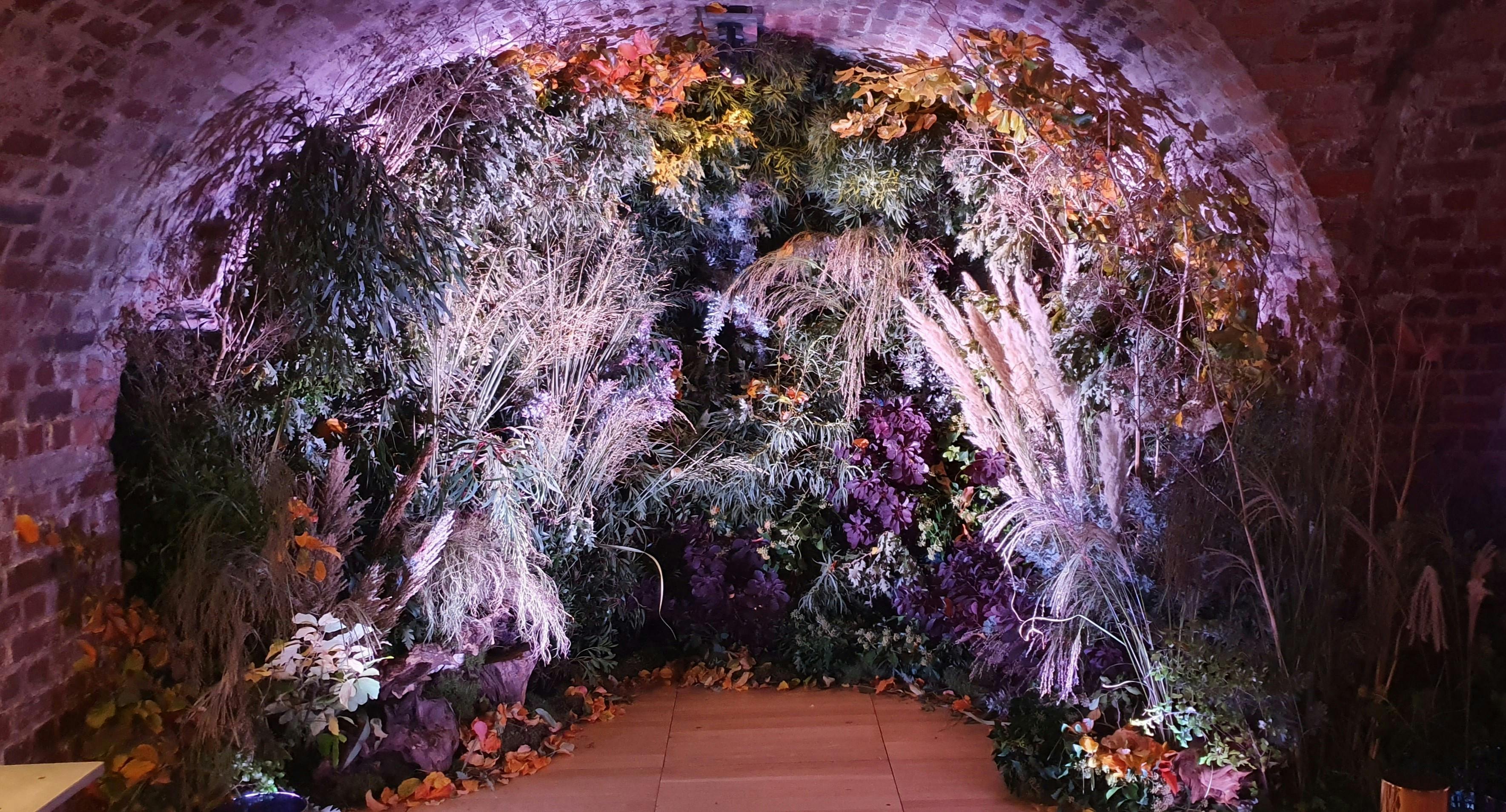 The Vaults | Events | RSA House